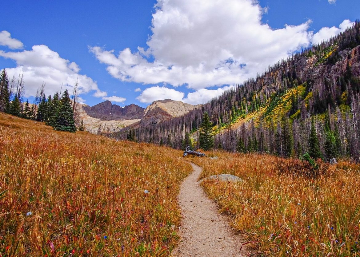 Chicago Basin Backpacking, SW Colorado, Needleton Train, Needle Creek