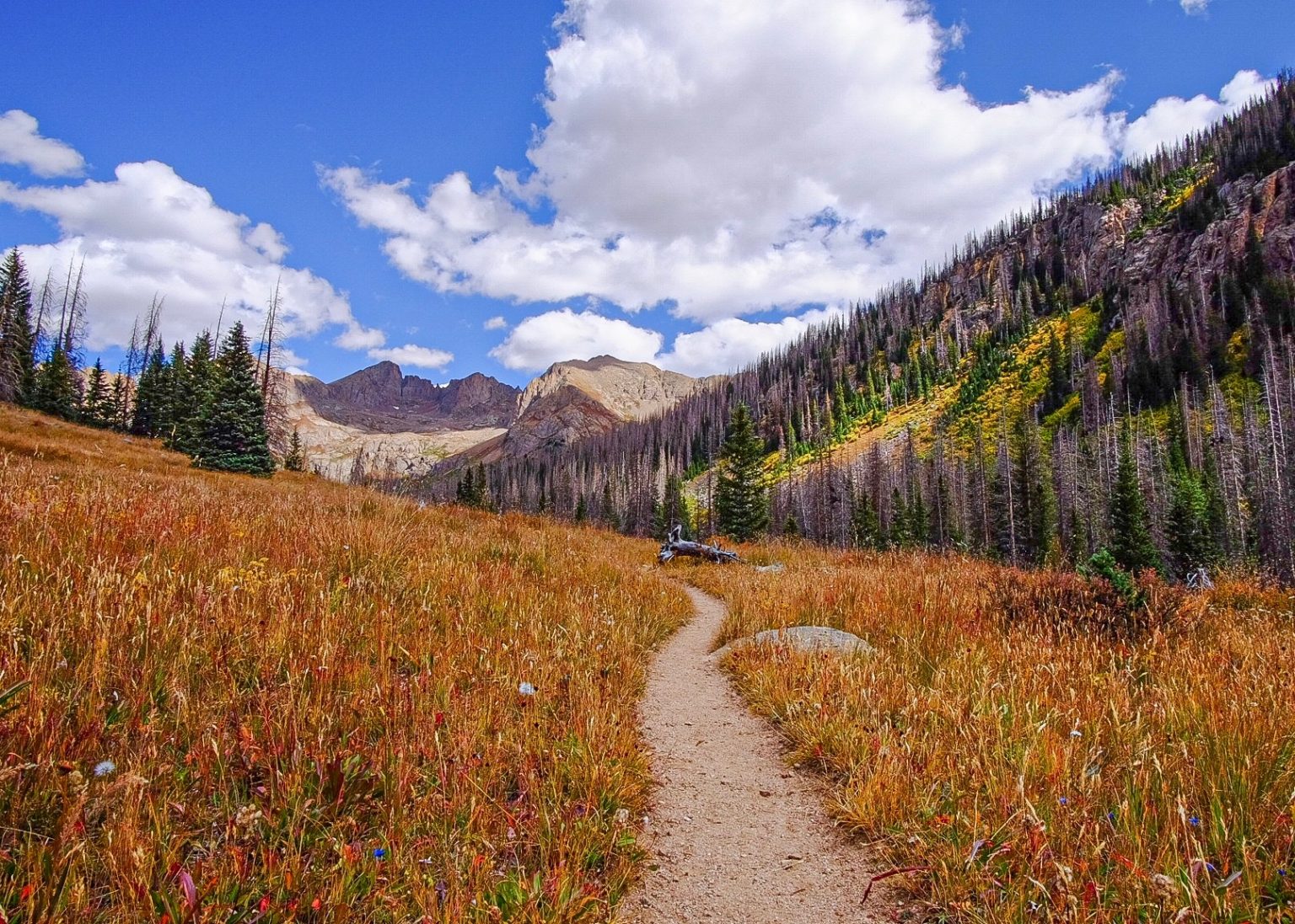 Chicago Basin Backpacking, SW Colorado, Needleton Train, Needle Creek