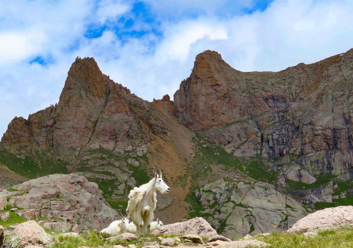 Chicago Basin Backpacking, SW Colorado, Needleton Train, Needle Creek