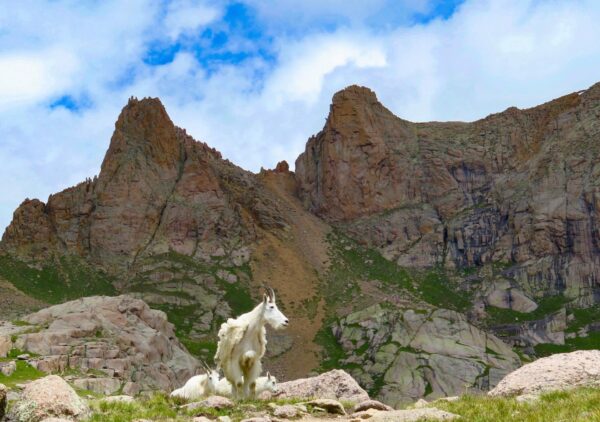 Chicago Basin Backpacking, SW Colorado, Needleton Train, Needle Creek