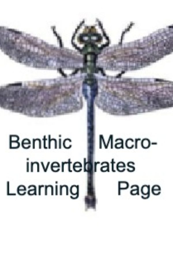 Benthic Macroinvertebrates