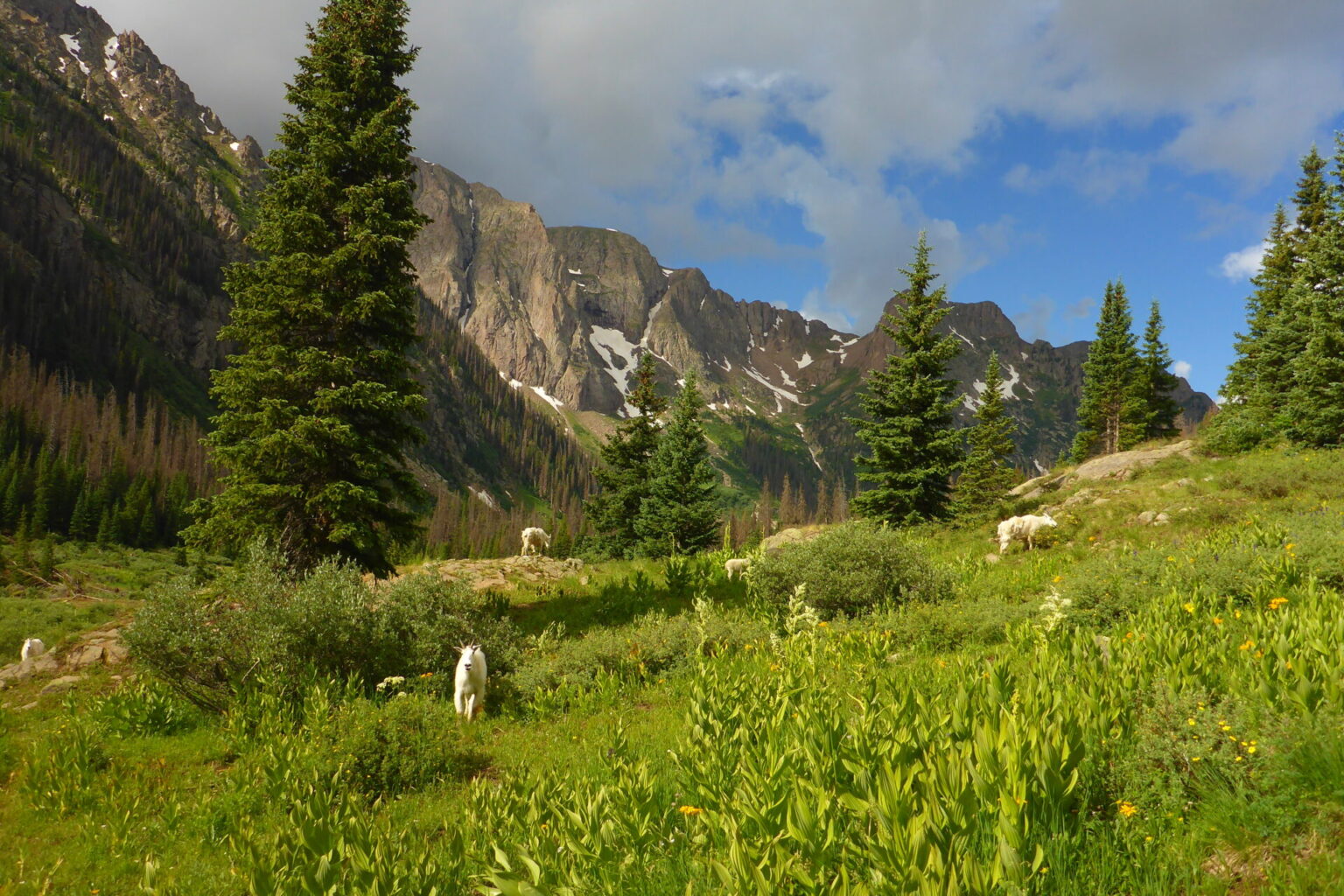 Chicago Basin Backpacking, SW Colorado, Needleton Train, Needle Creek