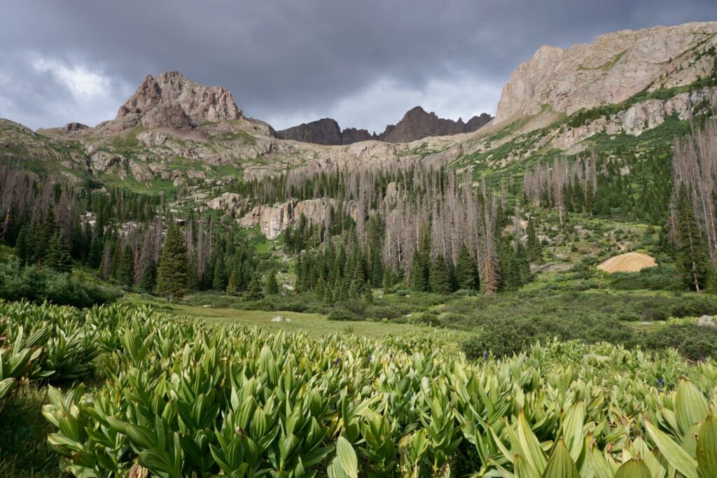 Chicago Basin Backpacking, SW Colorado, Needleton Train, Needle Creek