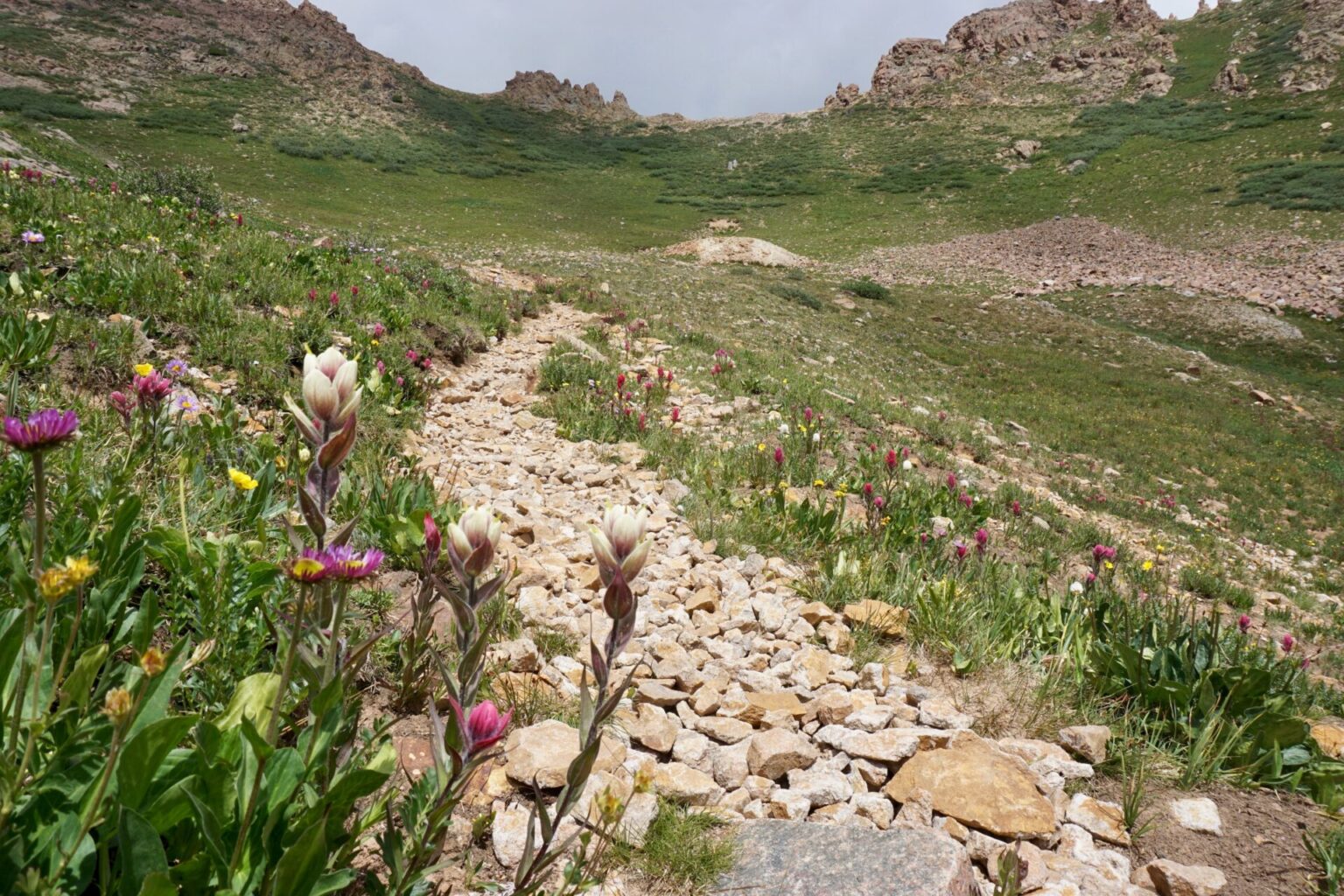 Chicago Basin Backpacking, SW Colorado, Needleton Train, Needle Creek