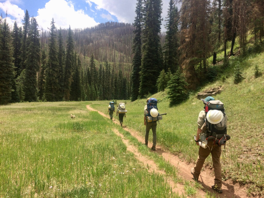 Climbing Chicago Basin 14ers - SJMA