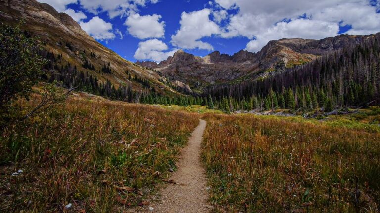 Weminuche Wilderness: Trails, Camping, and Guides - SJMA