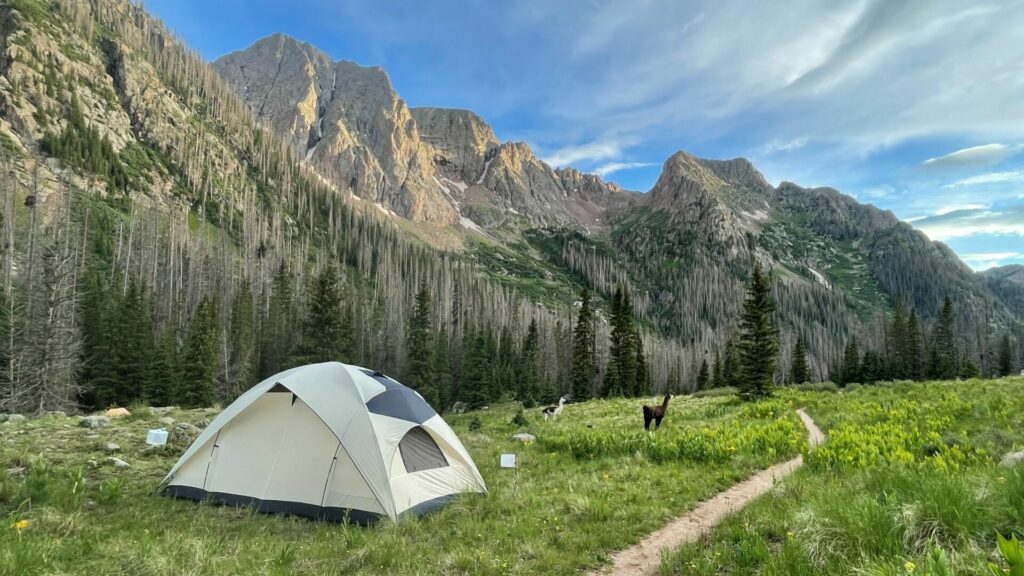 Climbing Chicago Basin 14ers - SJMA