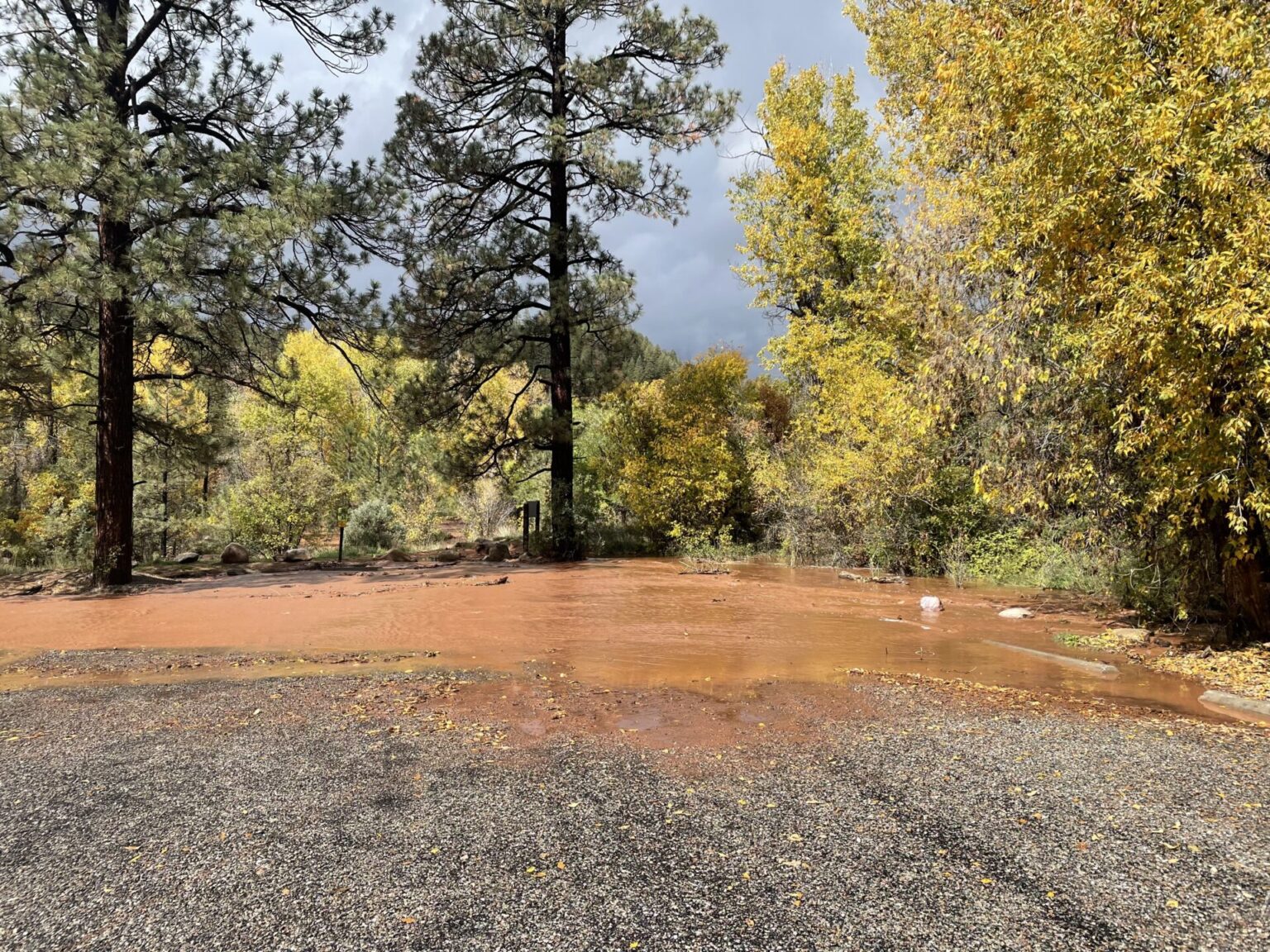 Forest Service Road Conditions - SJMA